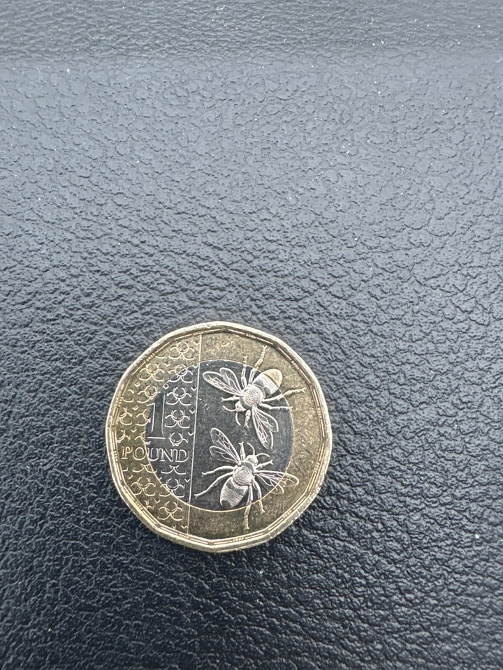 King Charles 2023 £1 One Pound coin Bees | eBay UK