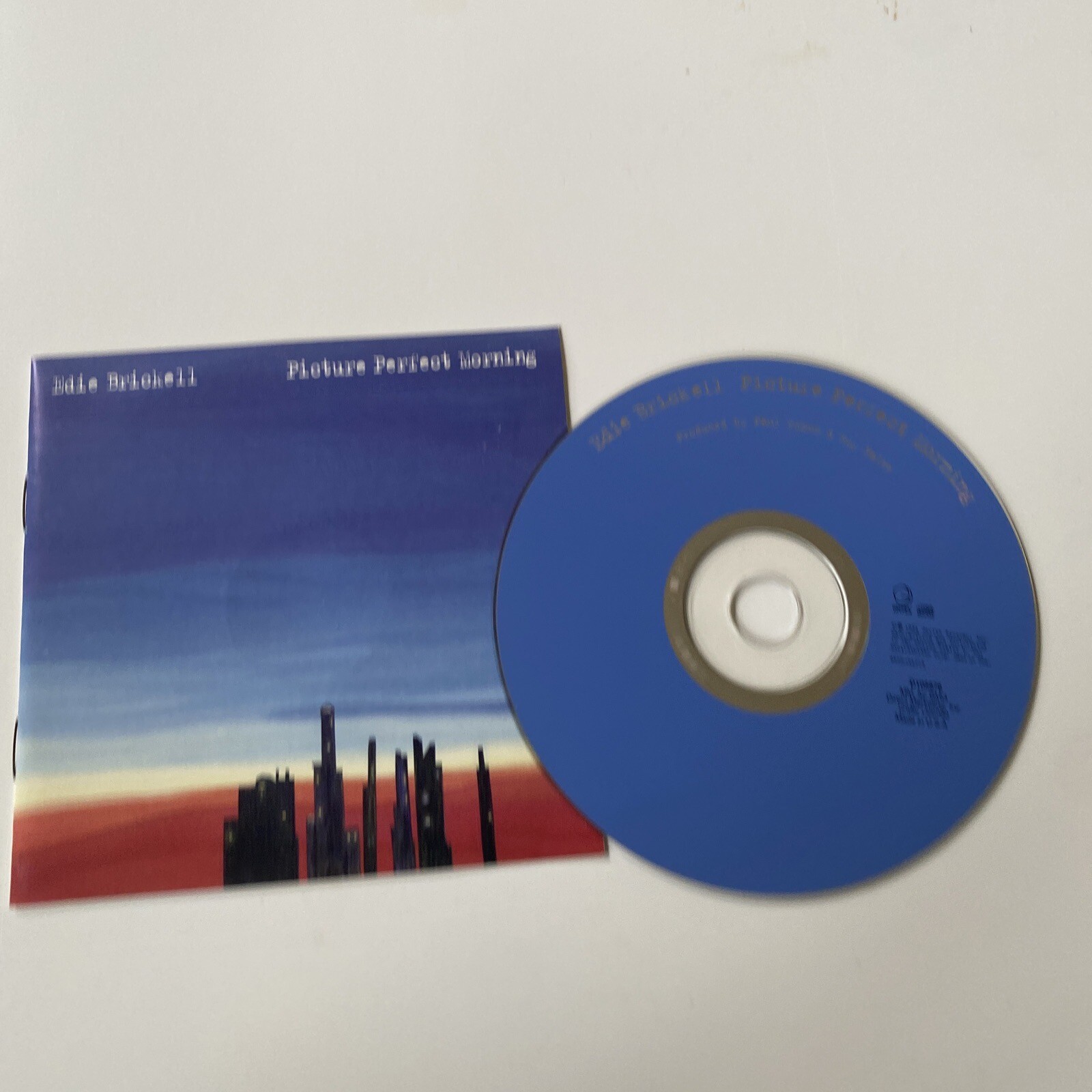 Picture Perfect Morning CD Edie Brickell Rock *NO CASE* | eBay