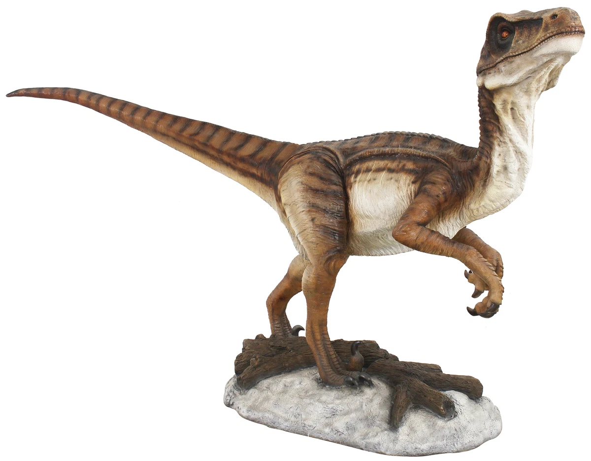 Velociraptor Size