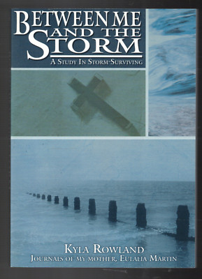 Between Me and the Storm A Study In Storm-Surviving by Kyla Rowland | eBay