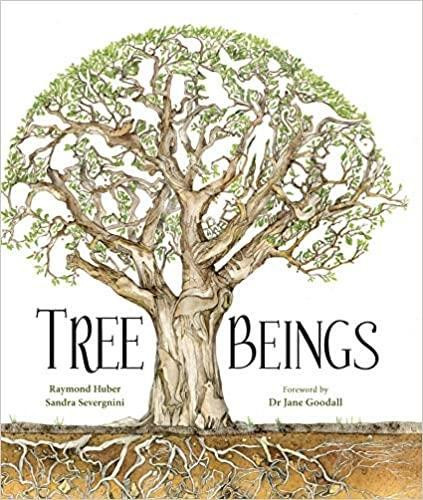 Raymond Huber Sandra Severgnini Tree Beings (Hardback) 9781925820539 | eBay