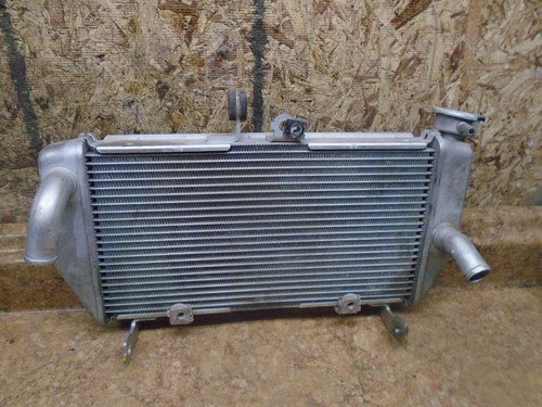 2015 Yamaha YZFR3 YZF R3 YZFR 300 R300 Radiator Coolant Cooler Cooling ...