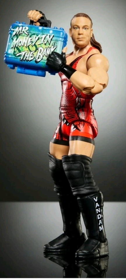 🆕🇺🇸WWE MATTEL ELITE LEGENDS 29 ROB VAN DAM RVD WRESTLING ACTION FIGURE ...