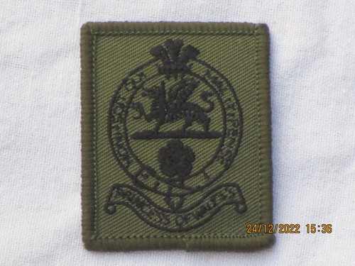 Princess of Wales's Royal Regiment, Cap Badge Fabric, Black/Olive, PWRR ...