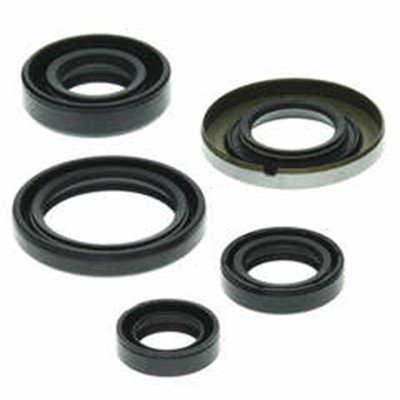 QUADBOSS OIL SEAL SET - POLARIS 822189 | eBay