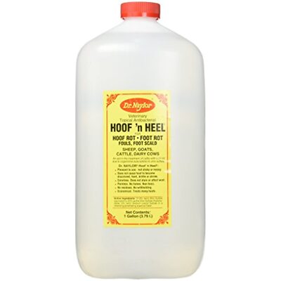 Dr. Naylor Hoof n' Heel (1 Gallon) - Traditional Foot Rot Treatment | eBay