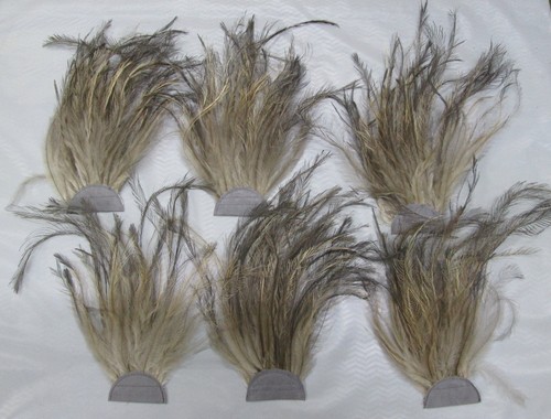 WW1 Australian Light Horse emu feather plume for slouch hat | eBay ...