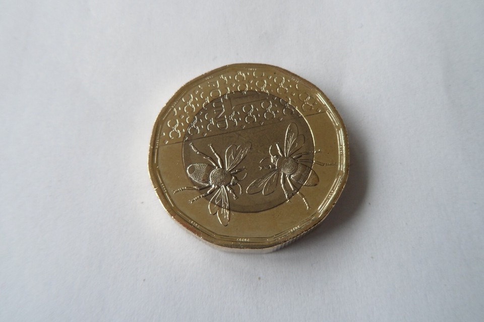 New 2023 King Charles Bees £1 pound Coin Uncirculated. | eBay