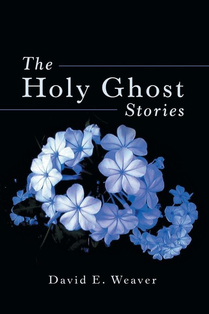 The Holy Ghost Stories von David E. Weaver (2019, Taschenbuch) online kaufen | eBay.de
