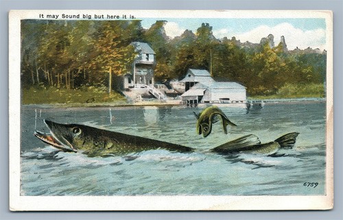 EXAGGERATED FISHING LAKE SCENE ANTIQUE POSTCARD | eBay