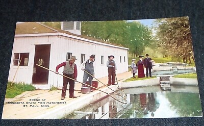 Minnesota State Fish Hatchery, Minnesota Vintage Postcard | eBay