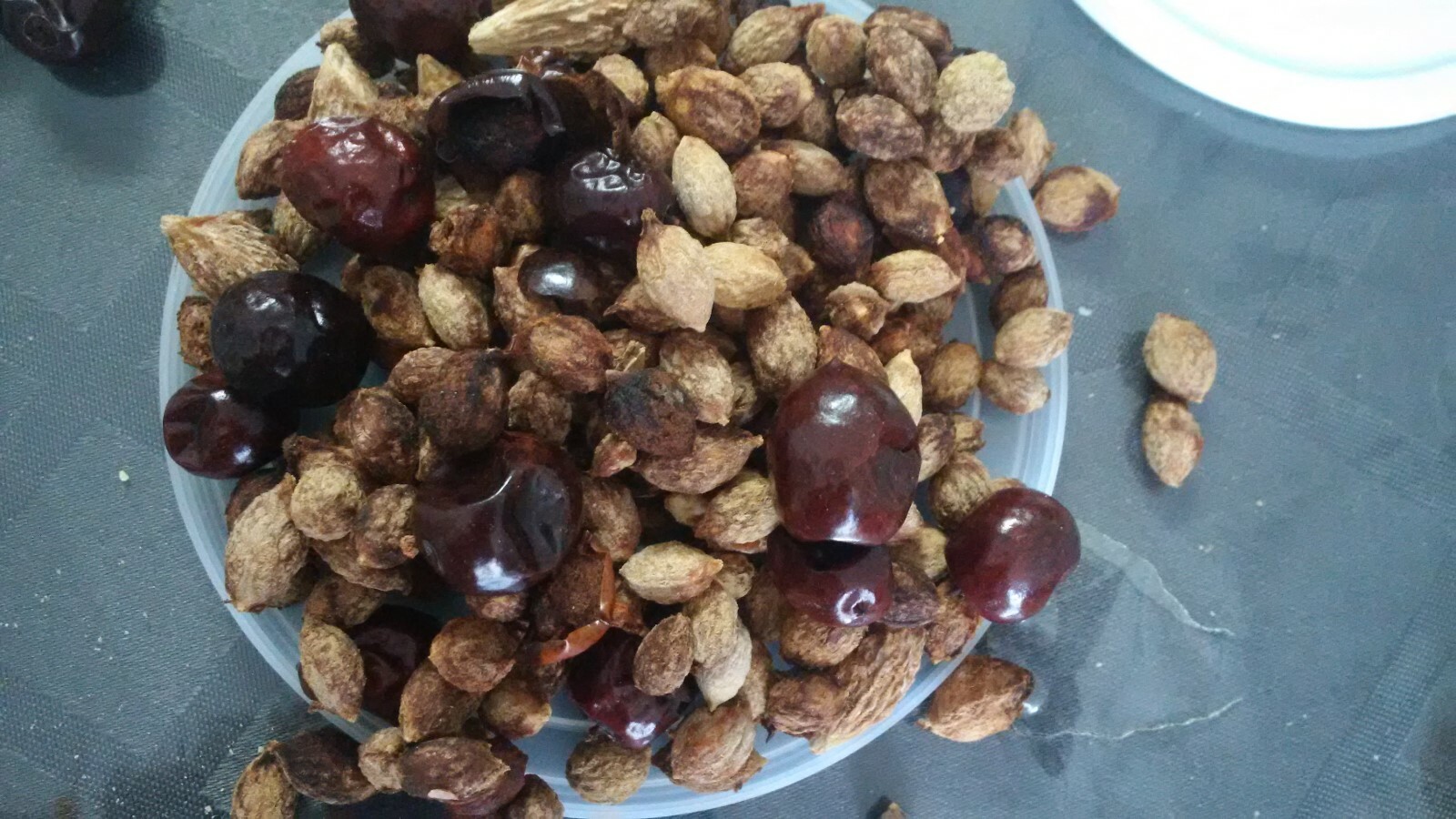 jujube seeds, Chinese date, 20 seeds lang jujube seeds and or Georgia ...