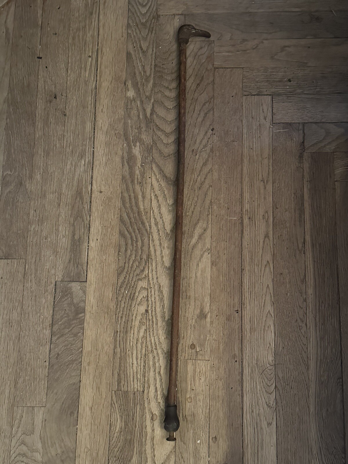 Antique “Gull’s Head” Carnival/Parade Cane - Gem