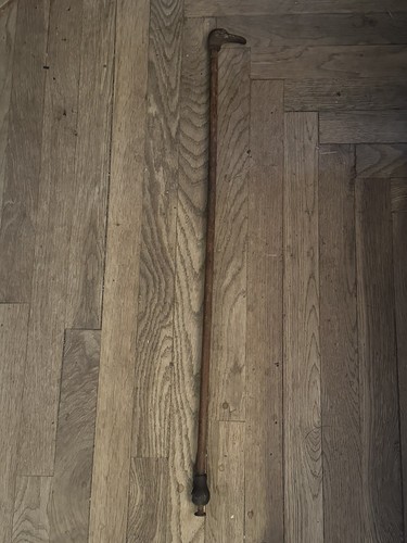 Antique “Gull’s Head” Carnival/Parade Cane | eBay