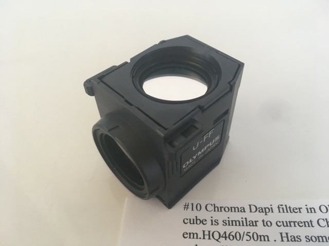 Chroma Dapi Filter in Olympus Filter Cube U-FF Cube For BX63. BX43 ...