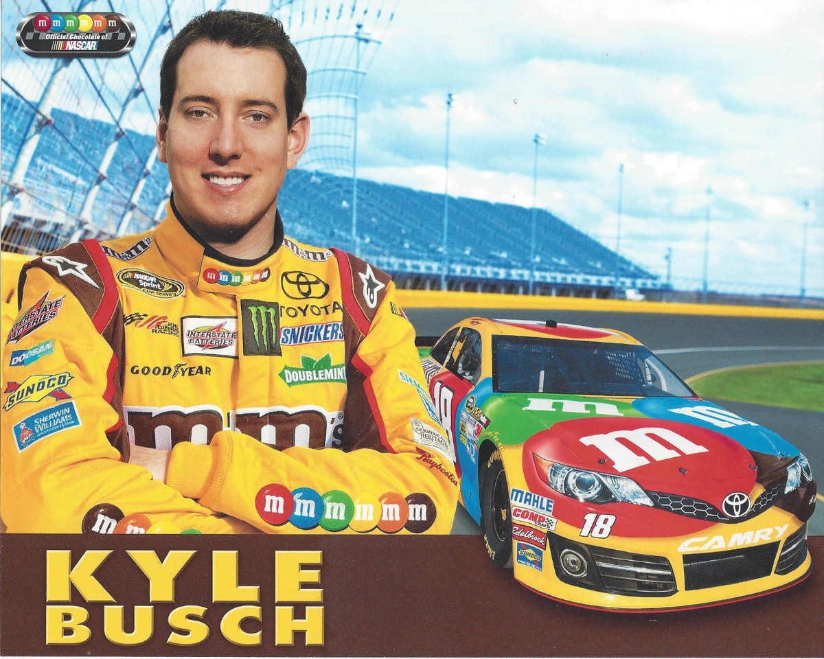 Kyle Busch Fight Meme