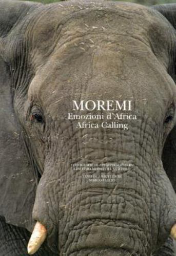 Moremi : Africa Calling by Marco Faccio (1999, Hardcover) for sale ...