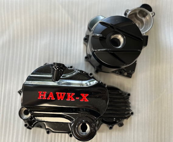 RPS Hawk-X 250 Complete New Motor Assembly (Balance Shaft Engine) X-Pro ...