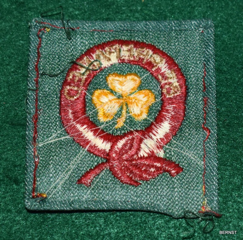 GIRL SCOUT - 1st CLASS BADGE - YELLOW CLOVER - TRANSITION - FREE ...