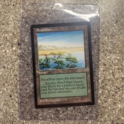 MTG - Flood Plain - Mirage - LP/Near Mint | eBay