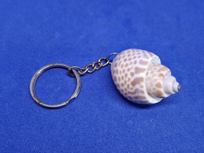 Keyring, Key Ring - Beautiful Sea Shell | eBay UK