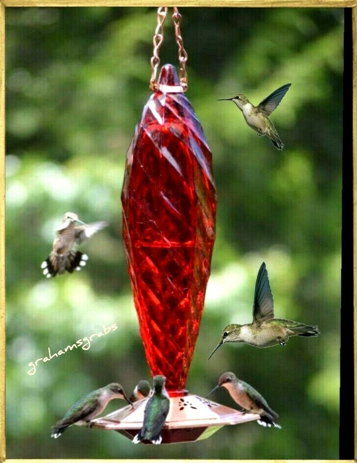 Red Hummingbird Feeder