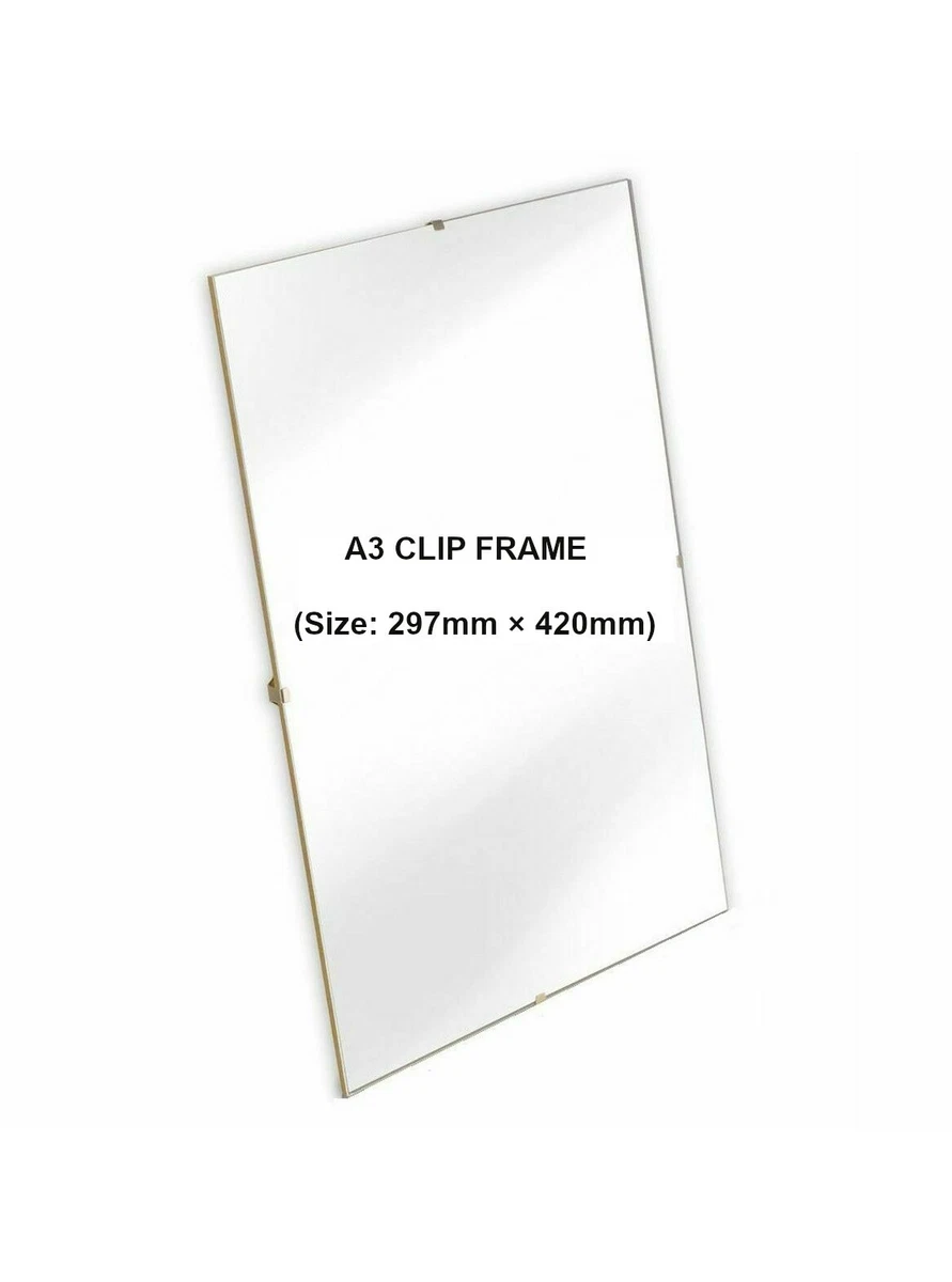 Clear Poster Frames