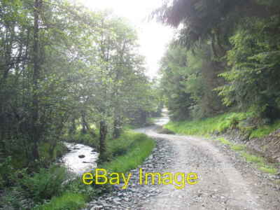 Photo 6x4 Forestry road along the bank of Afon Trystion Cynwyd c2007 ...