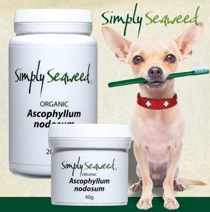 Simply Seaweed All Natural Dental Supplement for Cats and Dogs 40g ...