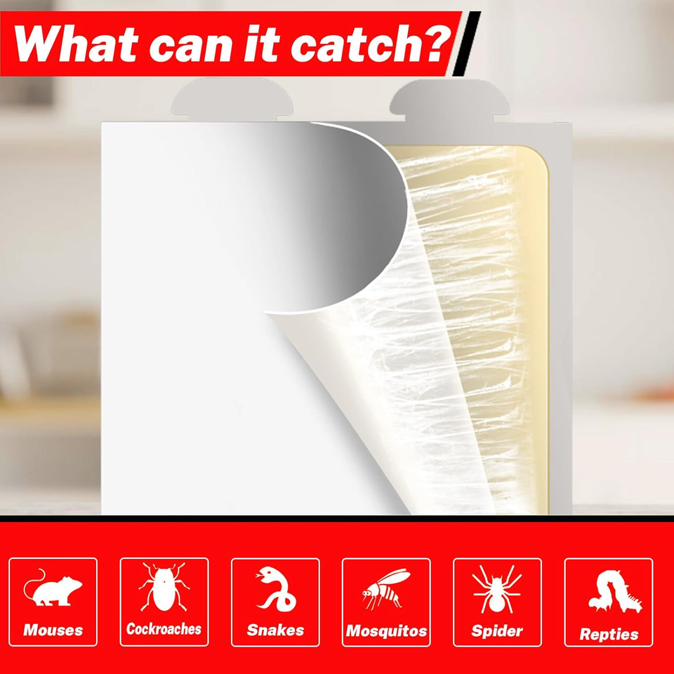 Mouses Traps Indoor for Home Sticky Insect Glue Adhesive for Catching ...