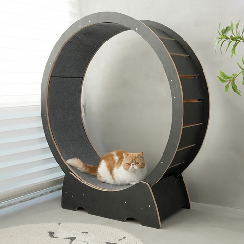 Cat Exercise Wheel Cat Running Treadmil Wheel Cat Fitness Sport Toy for ...