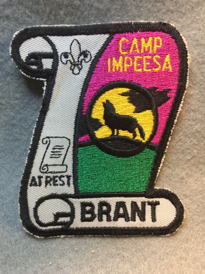 (t64g-4). Boy Scouts- Camp Impeesa / Brant | eBay