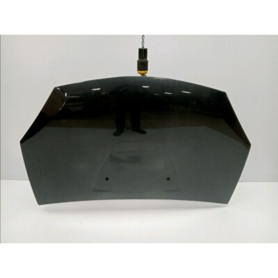 capot dacia SANDERO I 6001551793 46383 | eBay