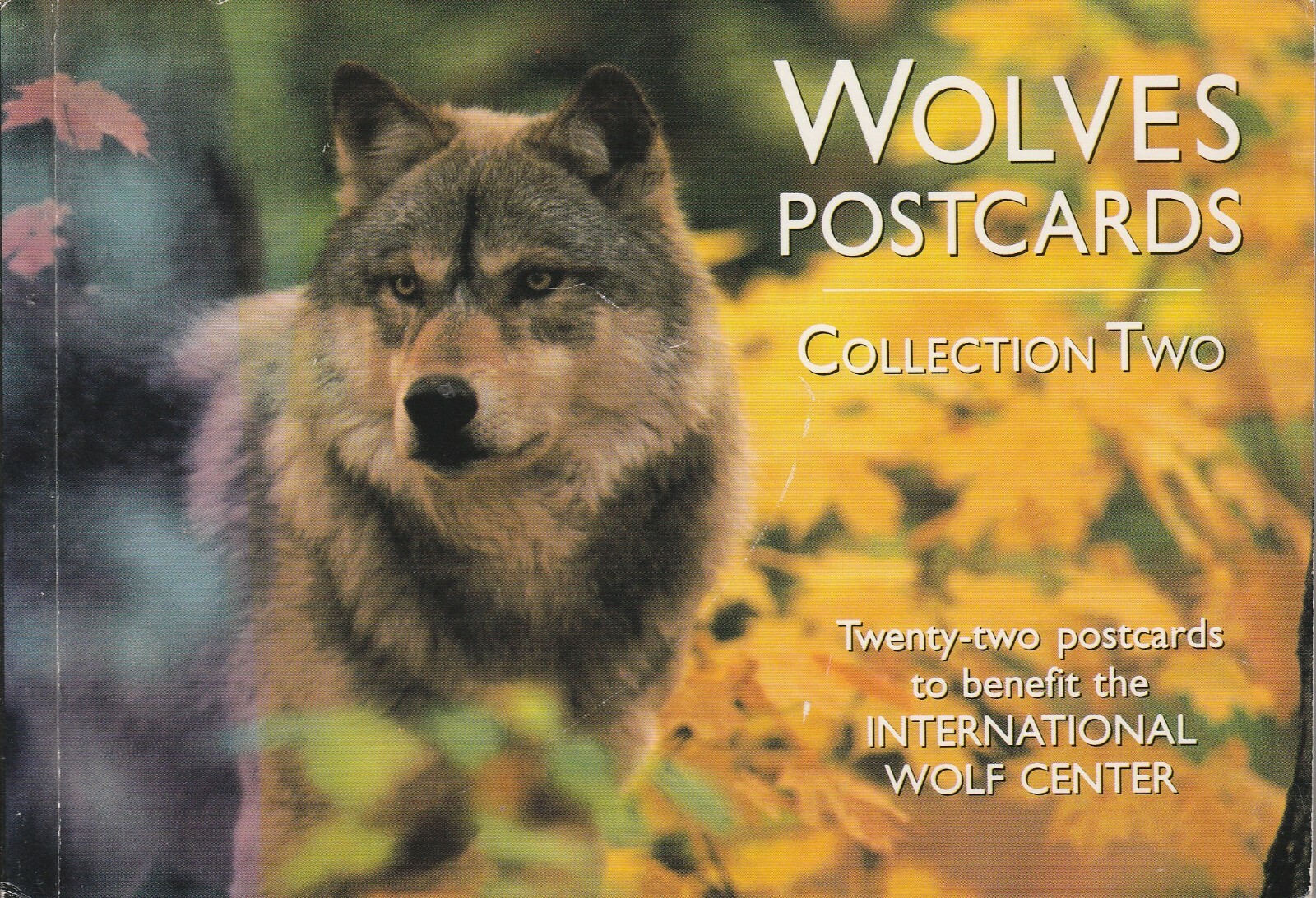 Wolves Postcard Collection Two by International Wolf Center Staff (1994 ...