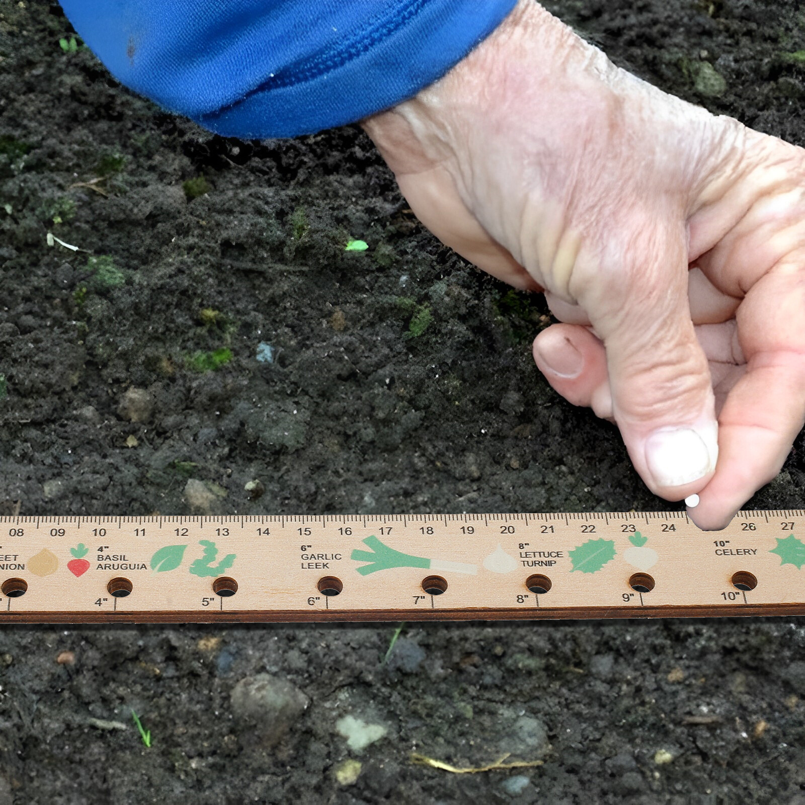 Seed Ruler and Dibber Wood Plant Seed Spacing Ruler with Inch and Goxtp ...