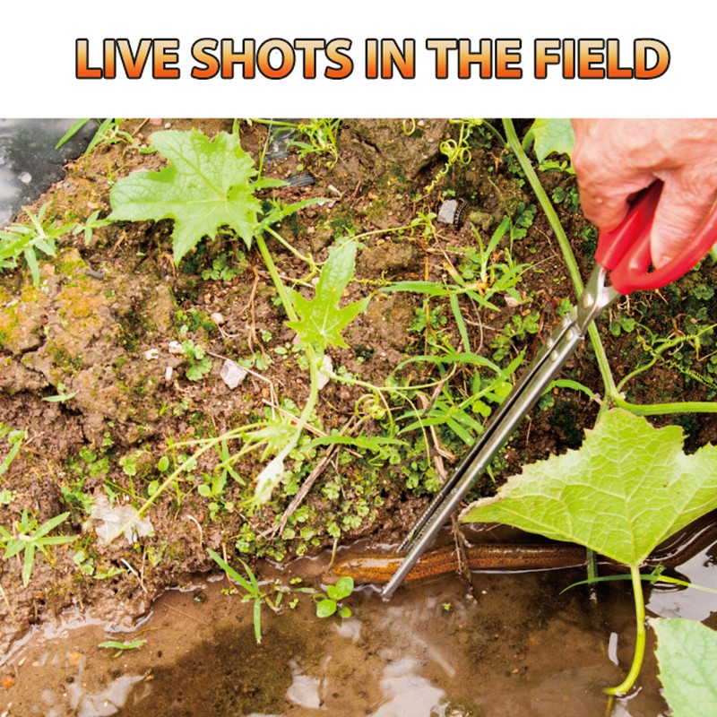 Pincers Loach Eel Crab Trap Fish Traps Carbon Clip Pliers Clamp Razor ...