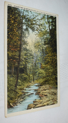 3665 Springtime in Artist's Glen Dells of the Wisconsin River Postcard ...