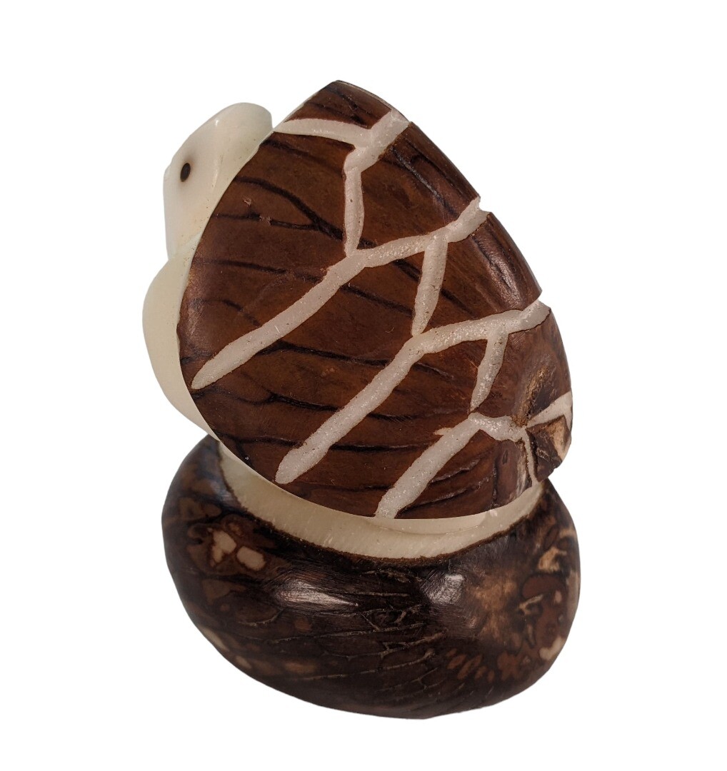 1 x Fair Trade Ecuador Tagua Carving | Vegan Ivory | TURTLE ON SLICE | eBay