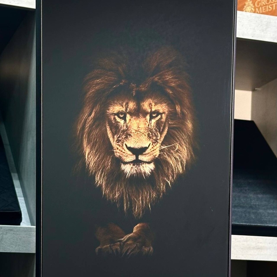 Glass Backgammon Set LION Design, Game Board,Exclusive Gift,Chips Dice ...