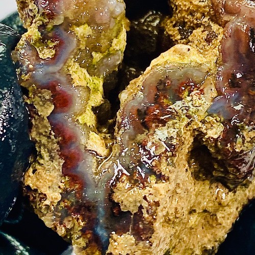 Brenda Plume Agate Blue Red Natural Rough Matrix Stone Rock Crystal ...