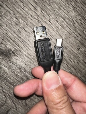 Genuine GoPro USB-A to USB-C 18" Sync / Charging Cable | eBay
