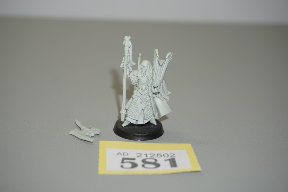 Warhammer Fantasy High Elves Phoenix Guard Captain Caradryan | eBay