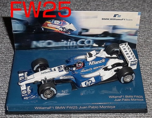 Bmw Special Order 1/43 Williams Fw25 Montoya 2003 | eBay