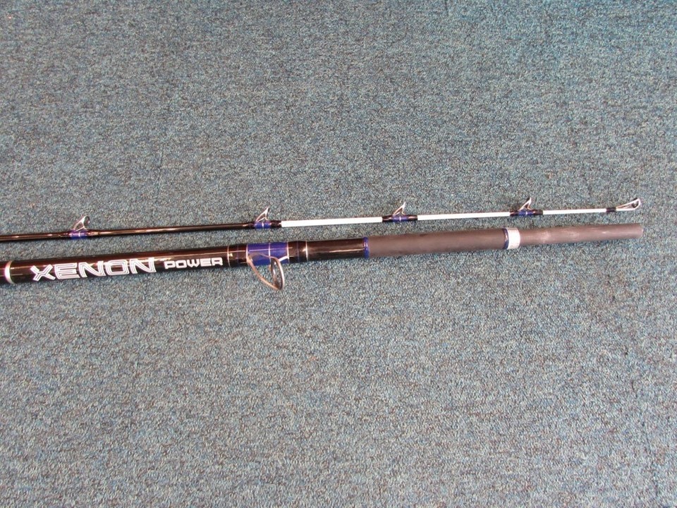 Tronix Pro Xenon Power 13ft 8 Beachcaster Fishing Rod | eBay UK