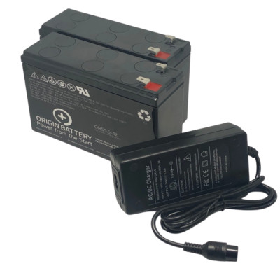 Razor Power Core E100 Electric Scooter 12V 6AH SLA Battery Replacement ...