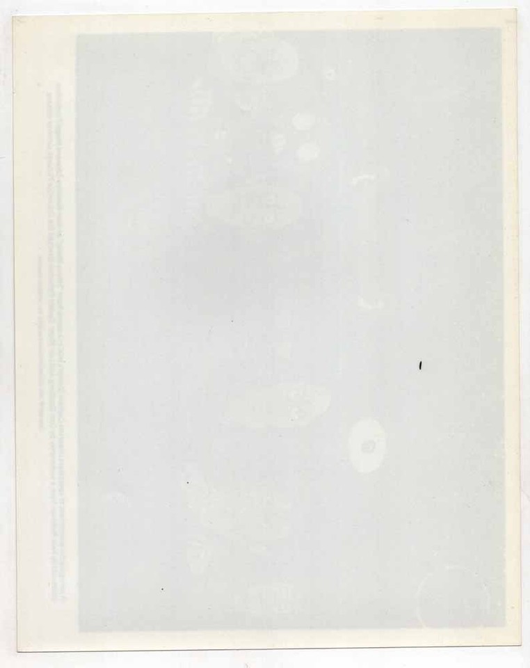 o31814 1981 orig photo animated characters rock n roll sci-fi cartoon ...