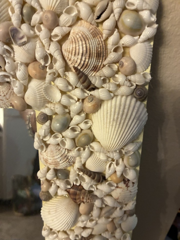 Mirror Natural Seashell Beach Boho Coastal Island Decor Handmade Frame ...