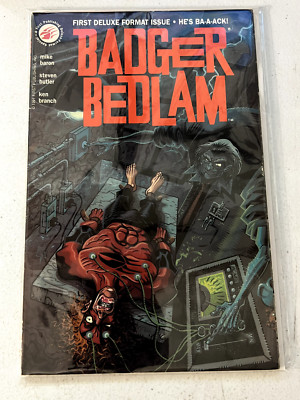 Badger Bedlam #1 First Publishing Mike Baron Steven Butler | combined ...