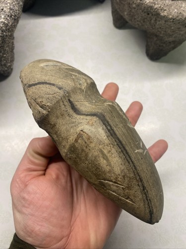 MLC s6221 Banded Slate Stone Half Grooved Adz Axe Wayne Co Illinois ...