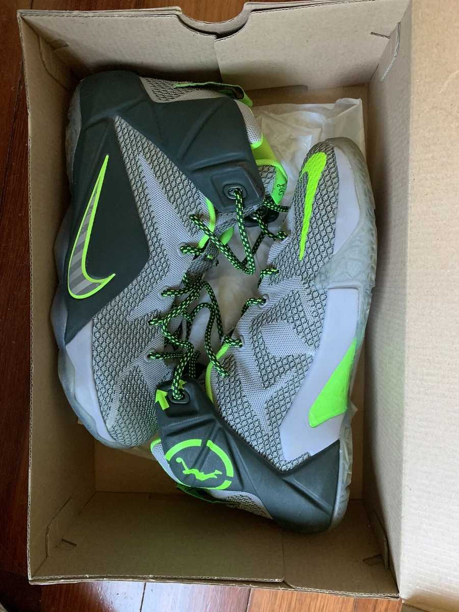 Lebron 12 Dunk Force Box